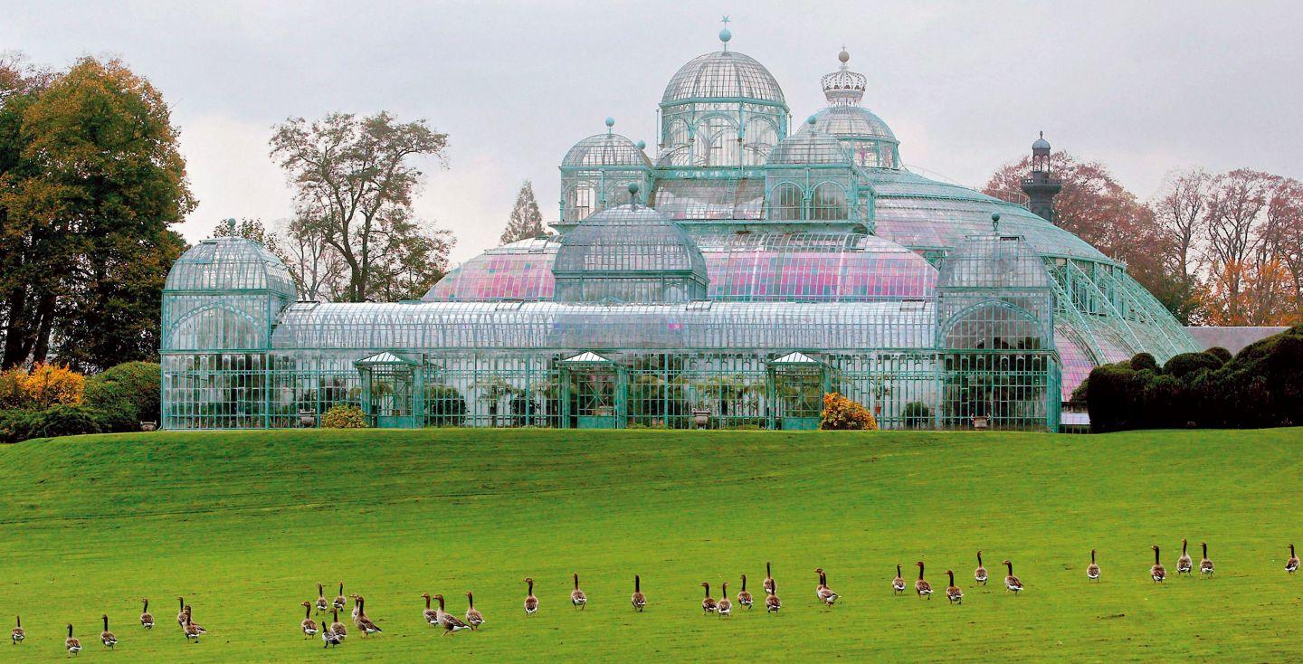 The Royal Greenhouses of Laeken are now open to the general public and ...