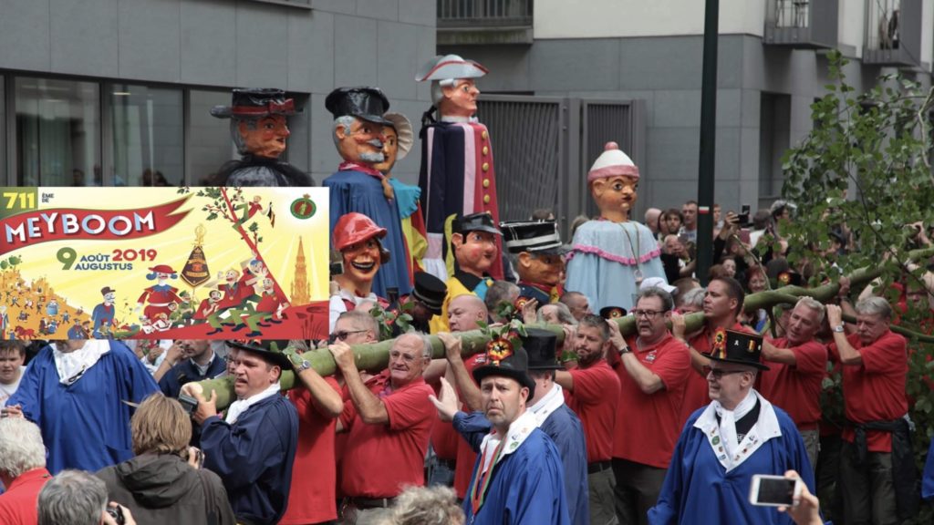 711st planting of the Meyboom to take place on August 9th - Brussels ...
