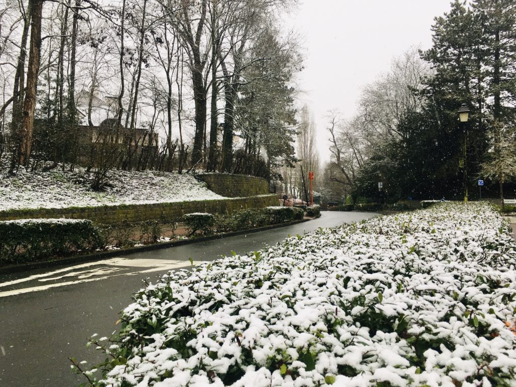 Snow finally arrives in Brussels - Brussels Express