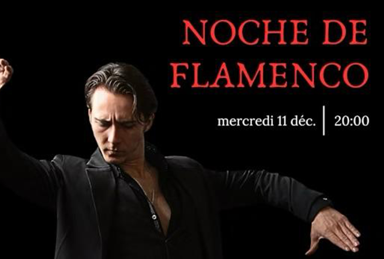 In the mood for Flamenco? Come to the Noce de Flamenco - Brussels Express